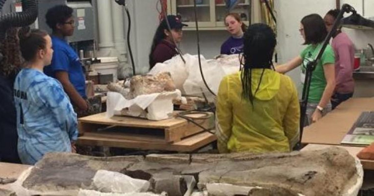 Diversity, Equity, and Inclusion Assistantships for BSD students ...