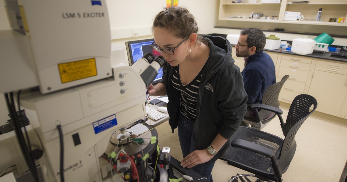 Neuroscience Institute combines experimentation with theory to unravel ...