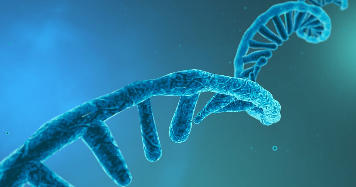 New sequencing techniques unlock modifications that make mRNA vaccines ...