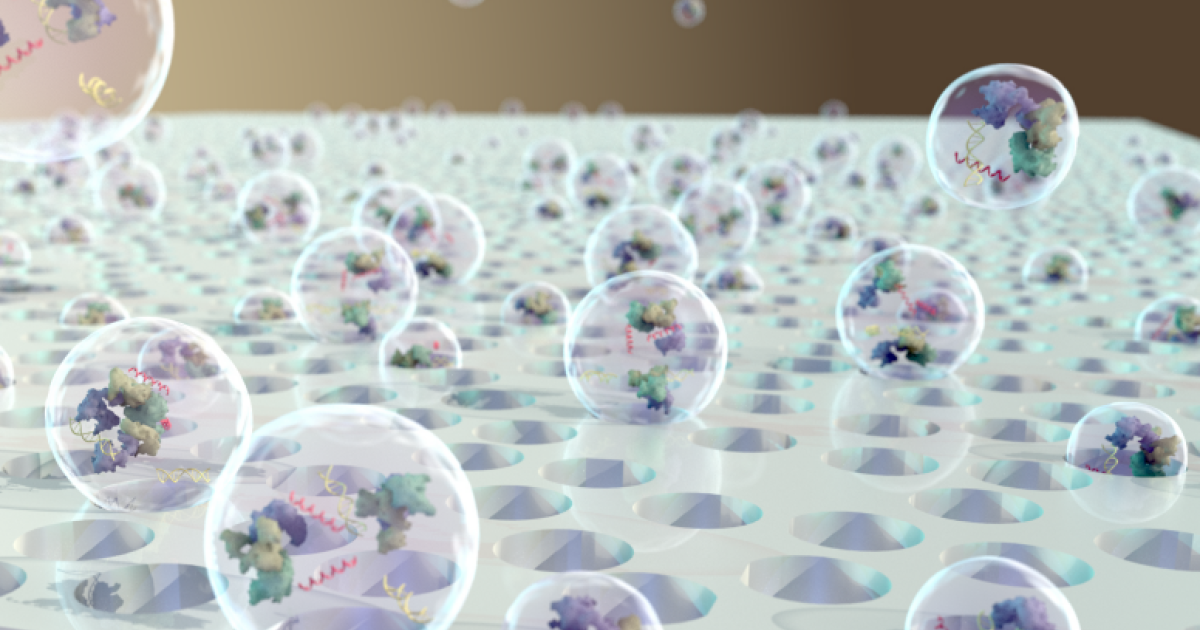 New technology allows scientists to examine extracellular vesicles one ...