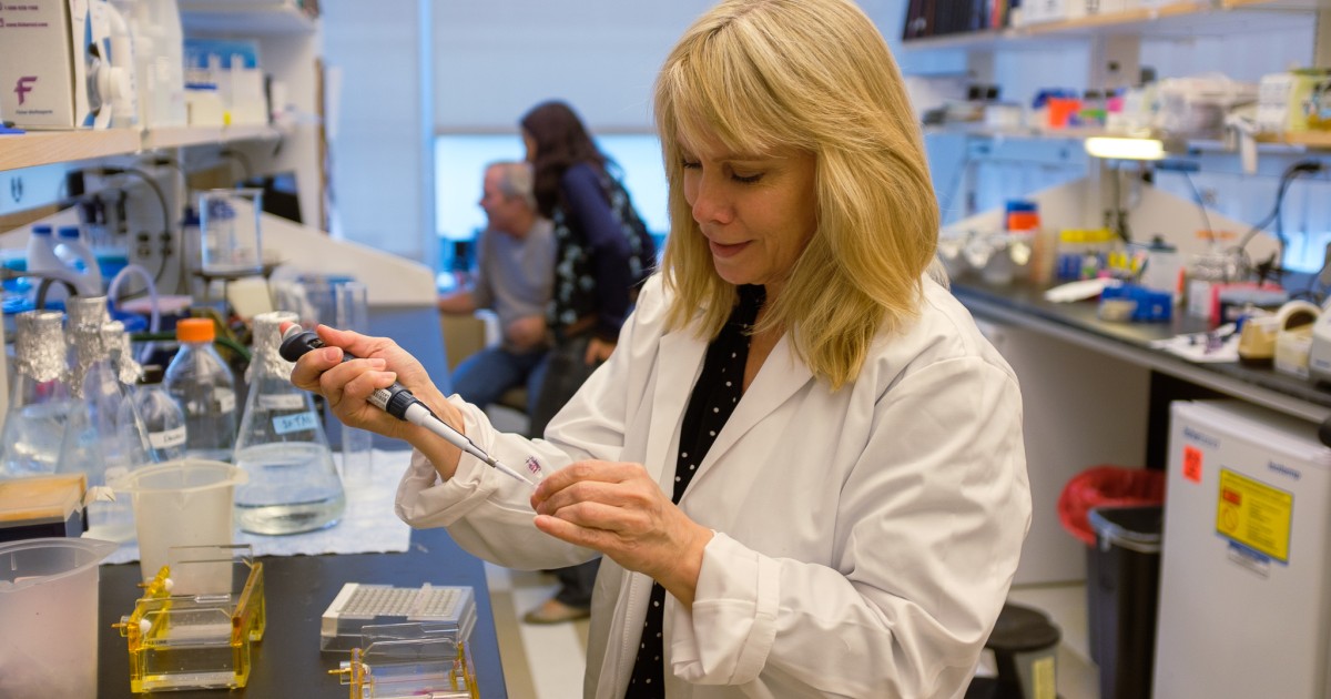 Microbiologist studies the tricks bacteria use to compete in the gut ...