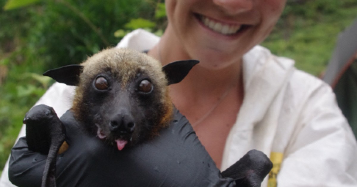 Conservation biologist wants to spare bats the bad rap | Biological ...