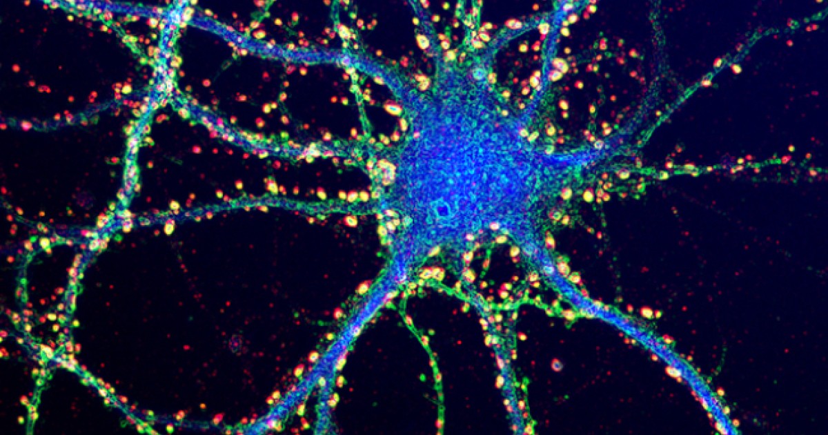 Deep learning system helps create more accurate picture of what’s ...