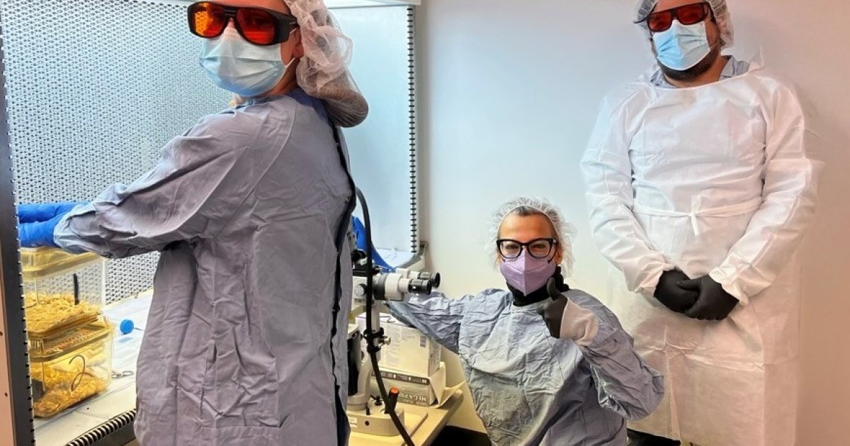 Dimitra Skondra receives award for macular degeneration research ...