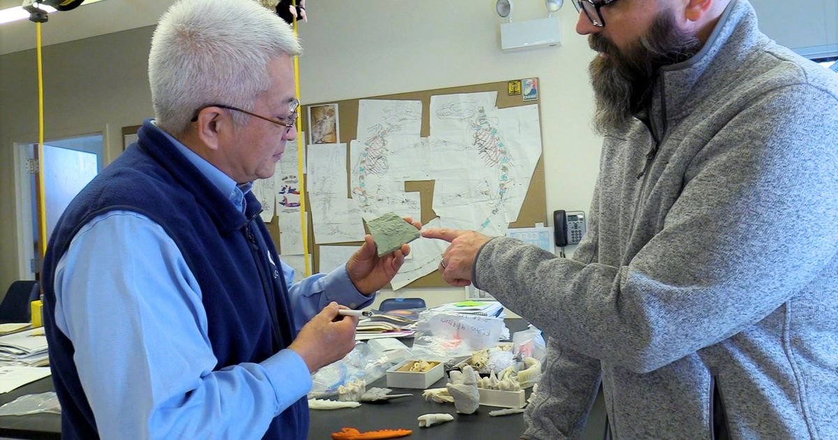 BSD Communications | Biological Sciences Division | The University of ...