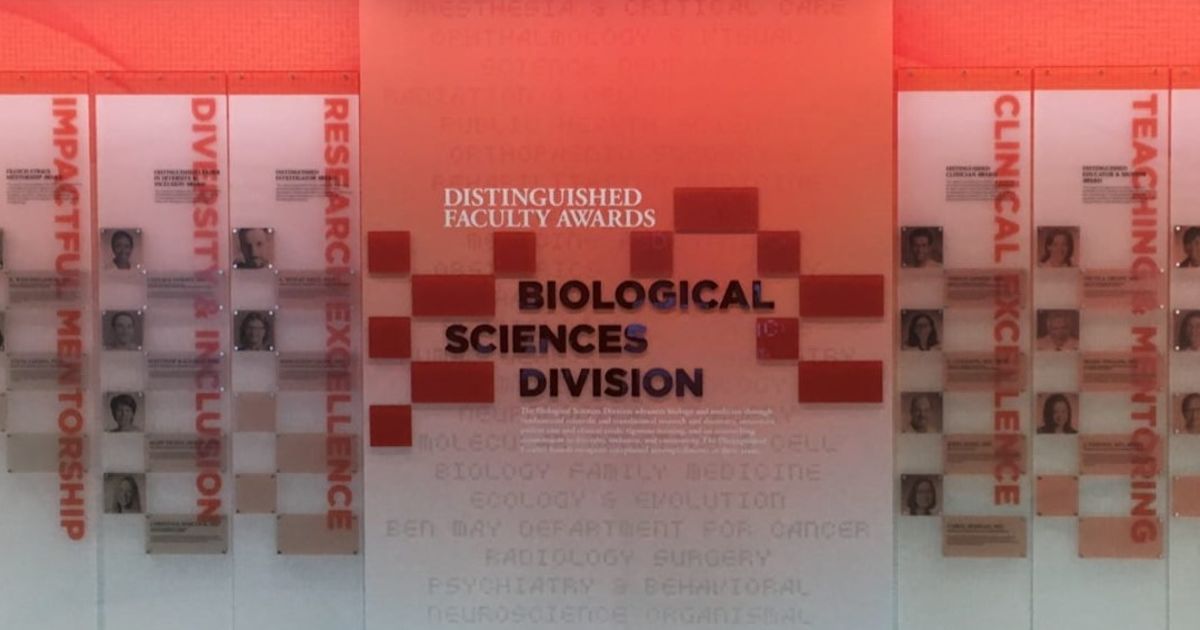 13th annual Distinguished Faculty Awards honor service and excellence ...