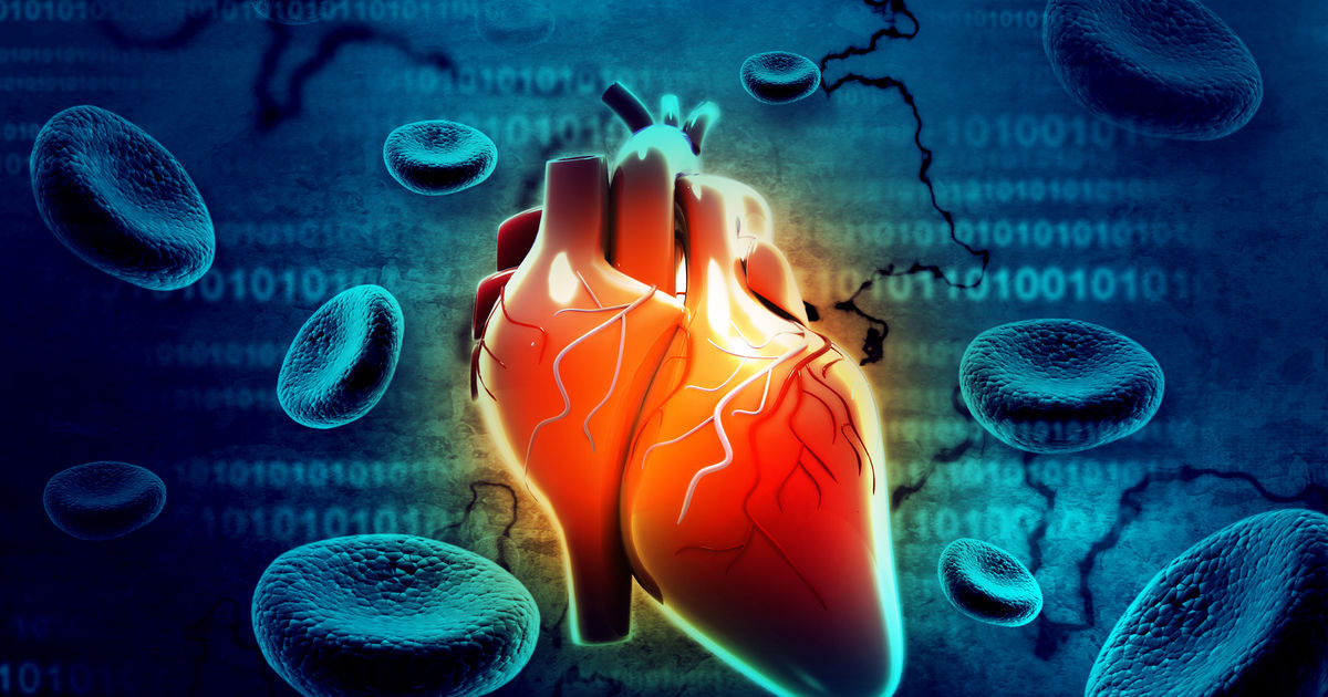 Identifying the molecular culprits behind organ rejection | Biological ...