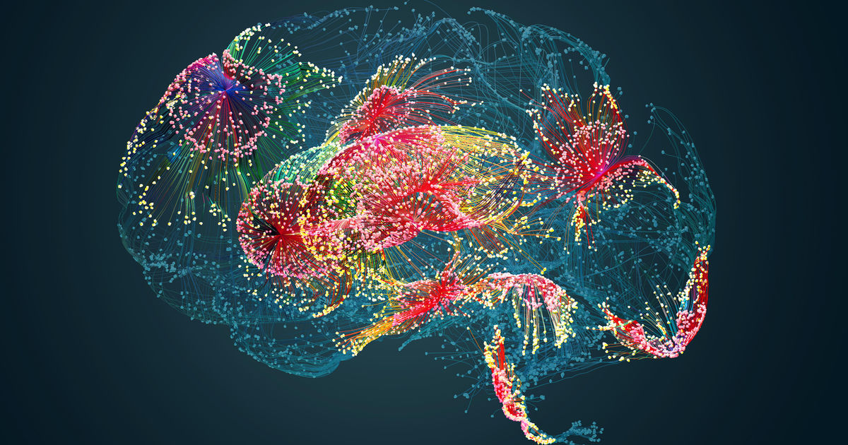 Surprisingly simple model explains how brain cells organize and connect ...
