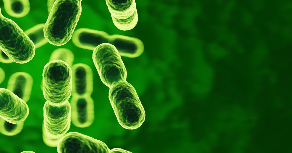 The surprisingly resourceful ways bacteria thrive in the human gut ...